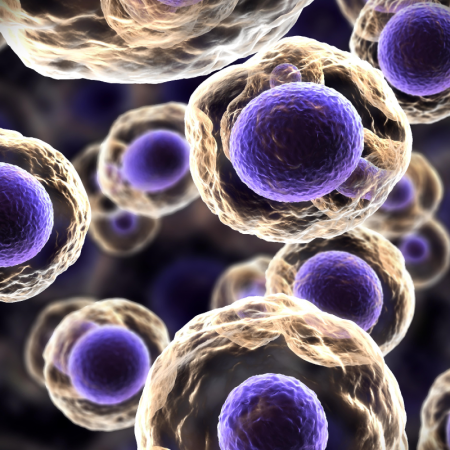 Como são as células? - beira.pt kids