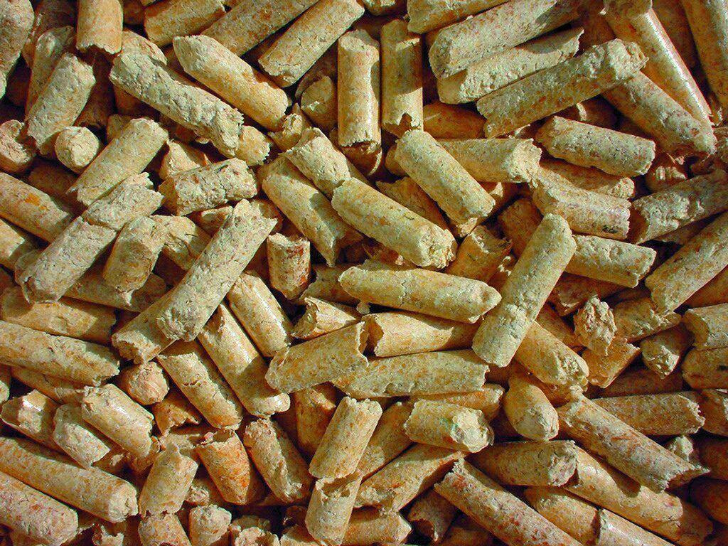 Fábrica de "pellets" para aquecimento ajuda a limpar áreas florestais ...