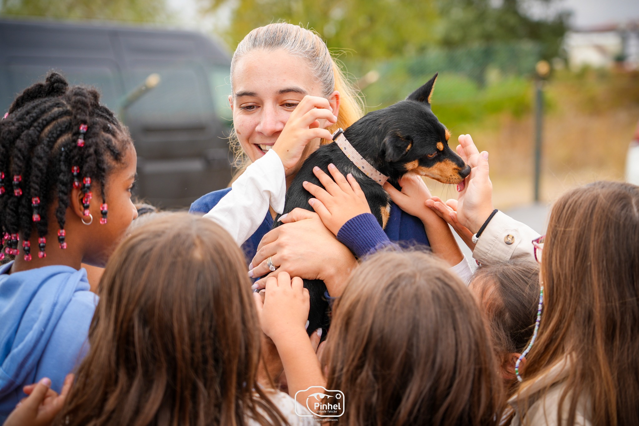 Município de Pinhel promoveu Open Day no Centro de Bem-Estar Animal ...